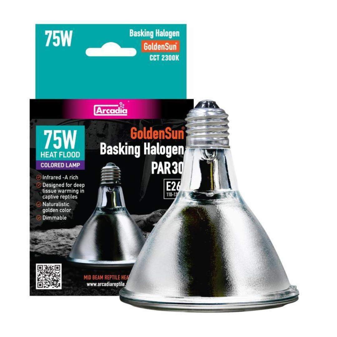 Arcadia GoldenSun Basking Halogen Heater – Good Bits