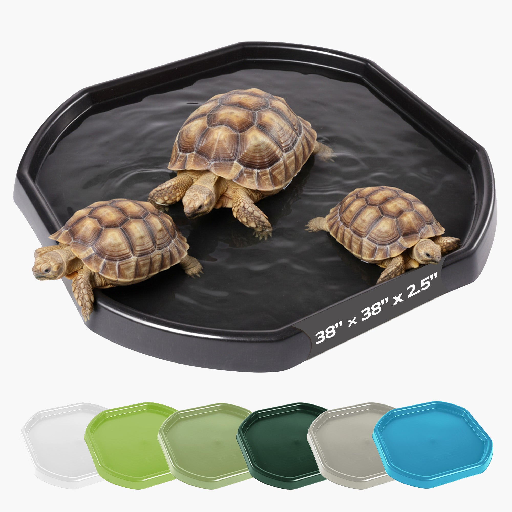 Tortoise Soaking Tray – Good Bits